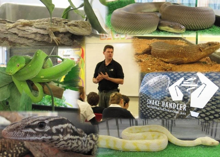 Reptile Awareness Tool Box Program – Snakehandler